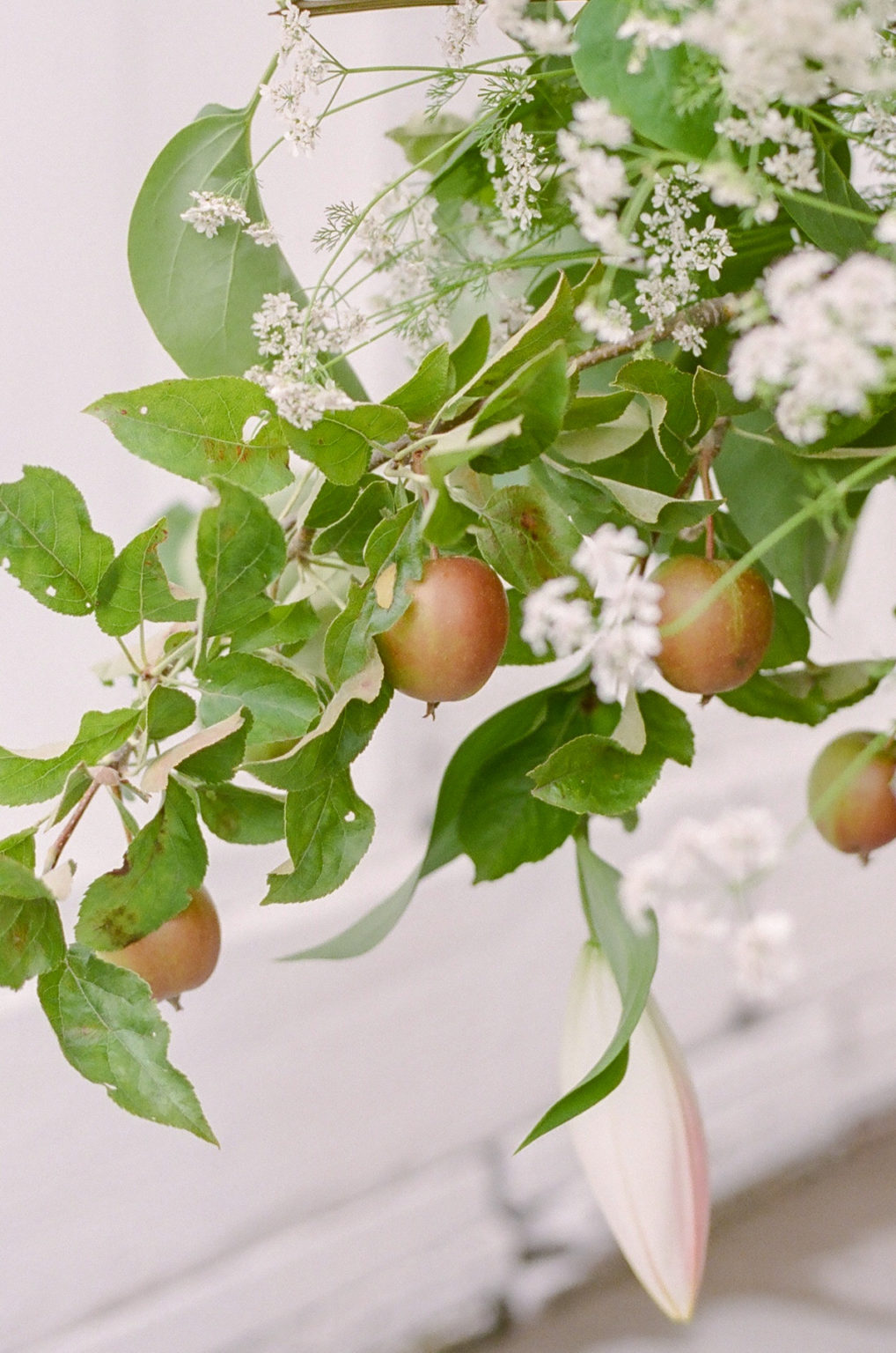 Modern meets Traditional inspired wedding at Woodinville Lavender Farm ...