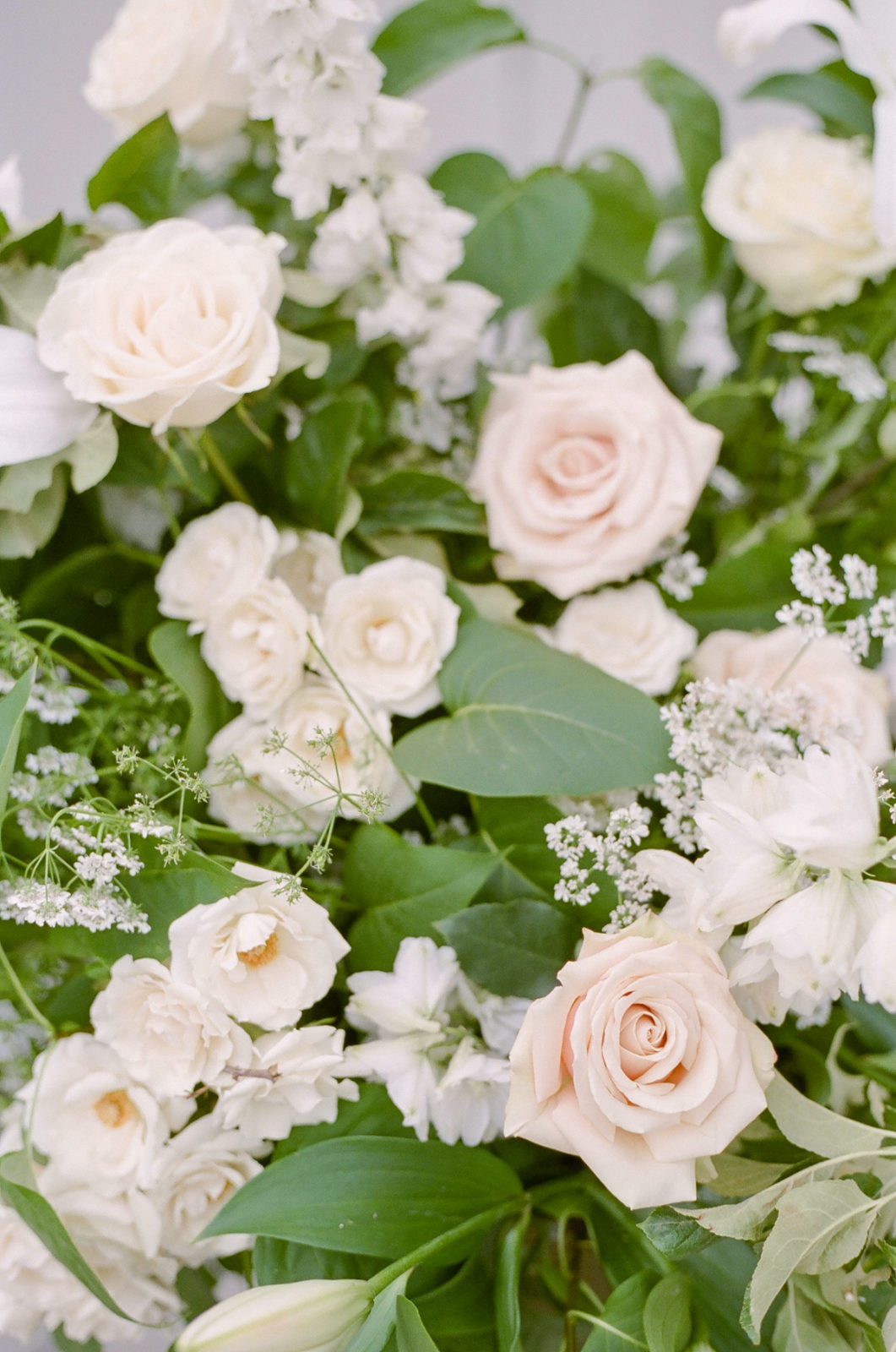 Modern meets Traditional inspired wedding at Woodinville Lavender Farm ...