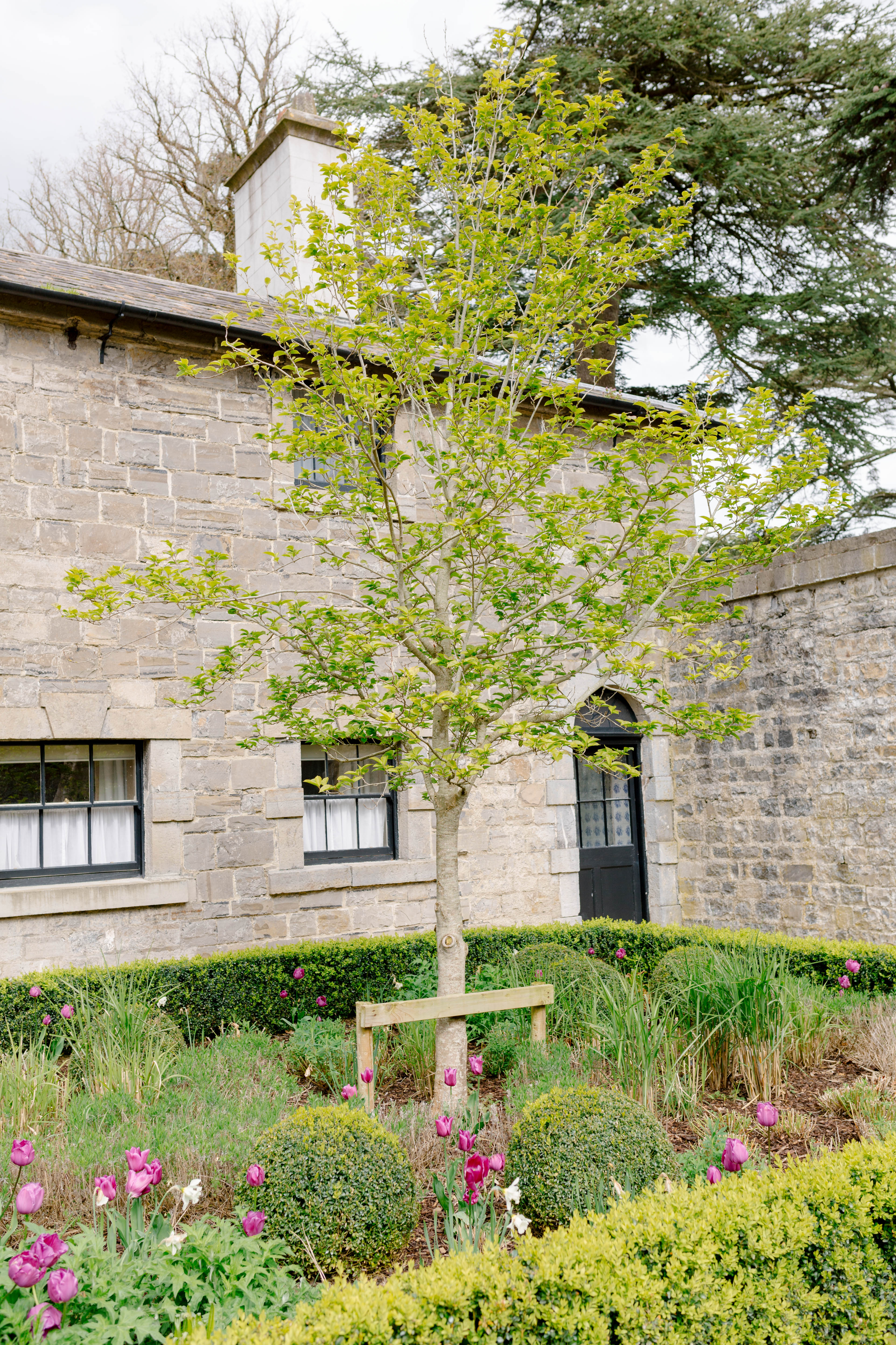 Experiencing Luxury at Carton House – A Fairmont Managed Hotel ...
