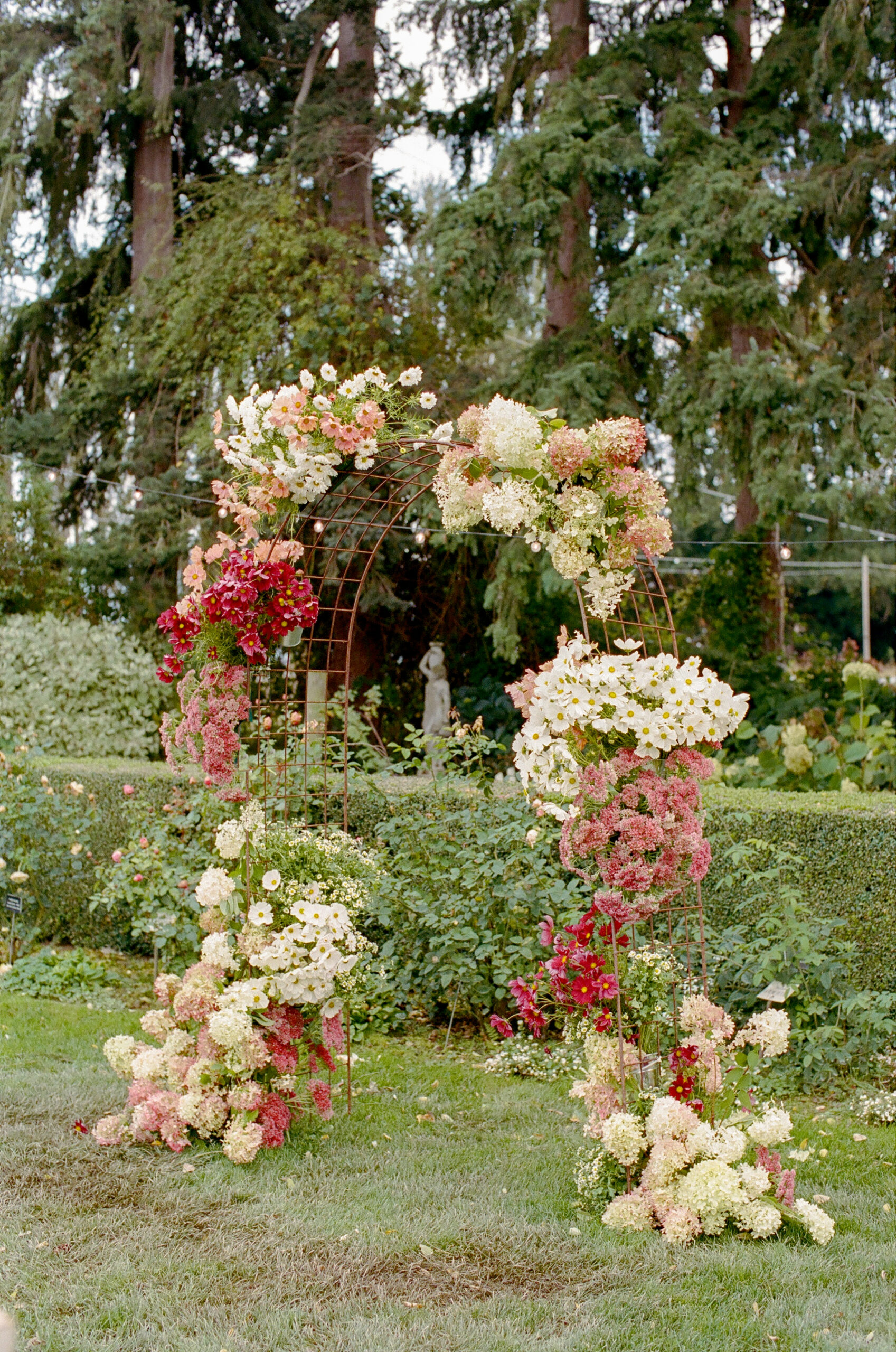 5 Seattle Florists You Need to Know for Your Wedding ...