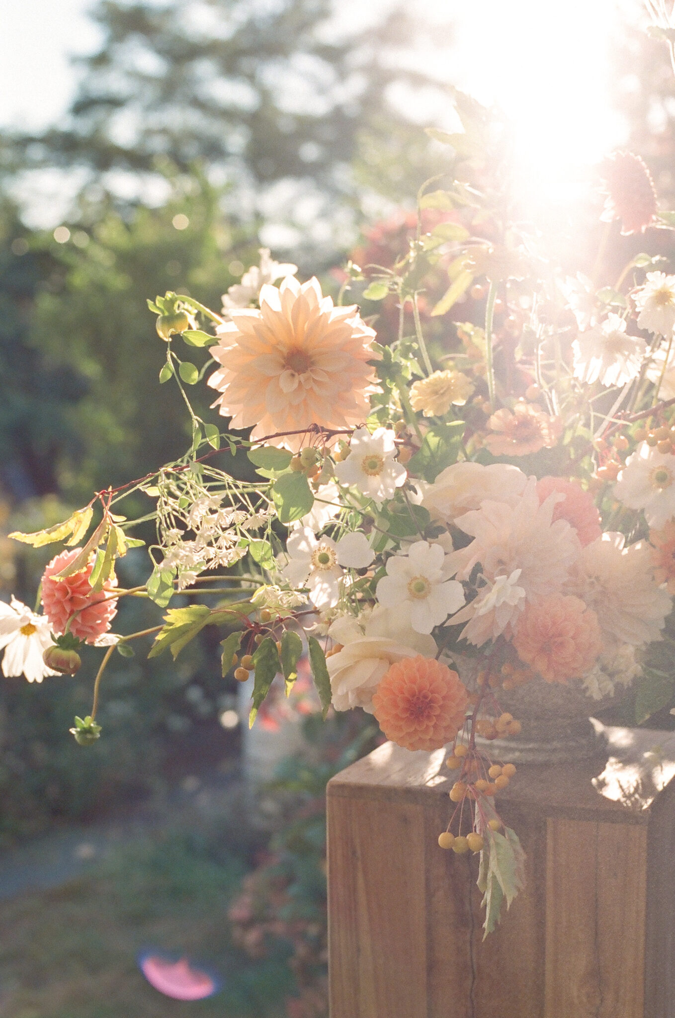 5 Seattle Florists You Need to Know for Your Wedding ...